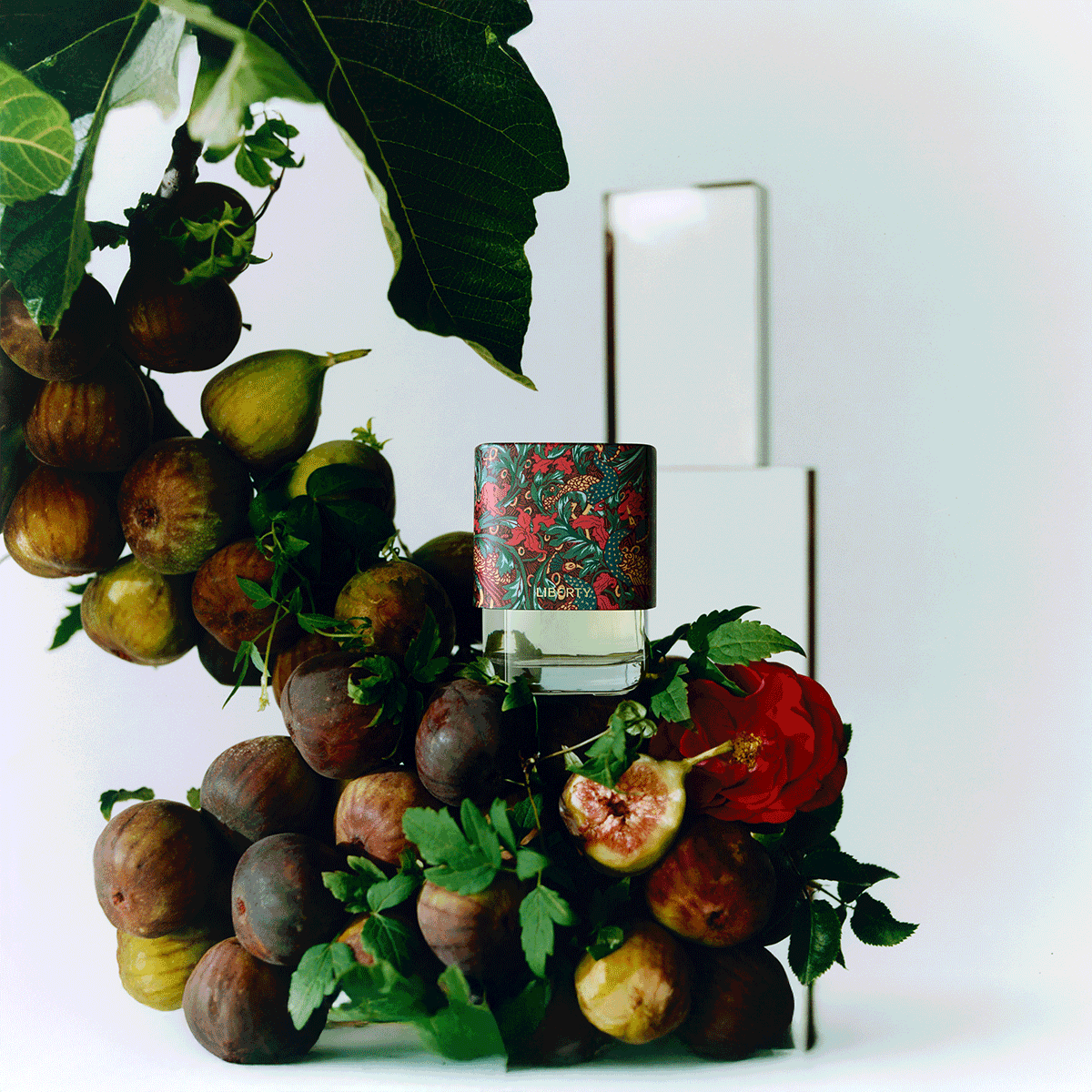 Buy Liberty London? Exclusive fragrances – Skins